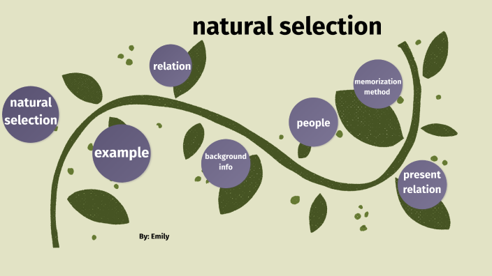natural selection project by emily bialk on Prezi