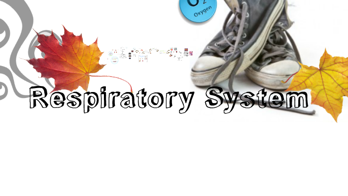 Respiratory System by Jennifer Sweet on Prezi