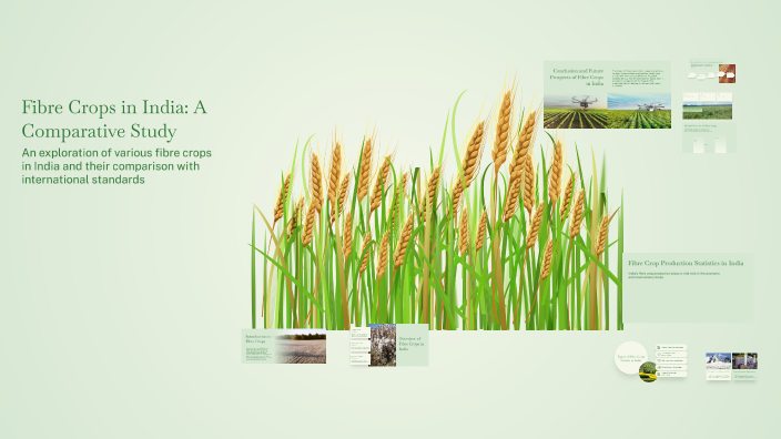 Fibre Crops in India: A Comparative Study by Syed Rayyan on Prezi