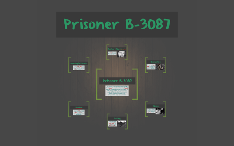 Prisoner B-3087 by sarah mcclure
