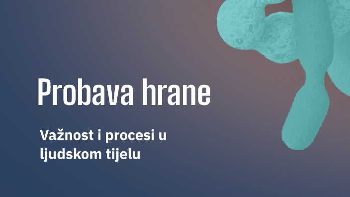 Probava hrane by Petra Kubin on Prezi