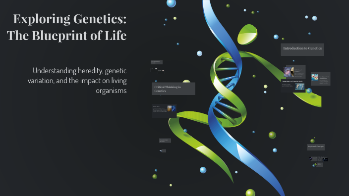 Exploring Genetics: The Blueprint of Life by Francis Orion on Prezi