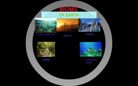 BIOMS by jiah edwards on Prezi