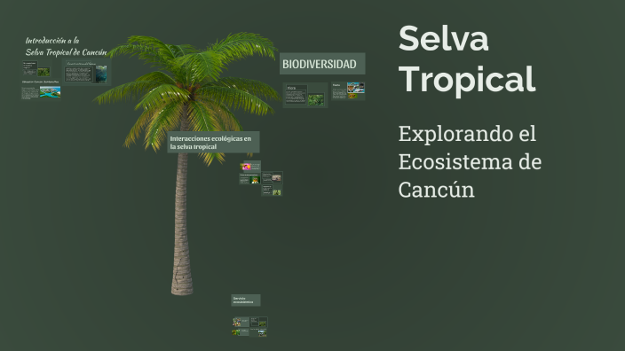 Selva Tropical by Marvin Gregorio Carvajal Kantun on Prezi
