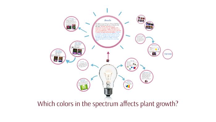 AP Bio Summer Experiment by Kristin Fowler