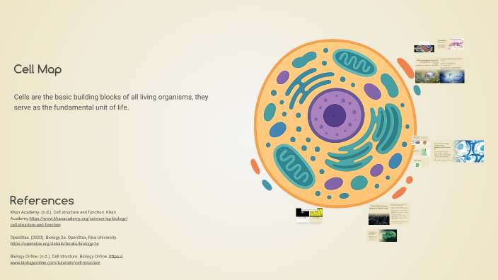 Interactive Cell Map: Exploring Organelles and Their Functions by DANA ...