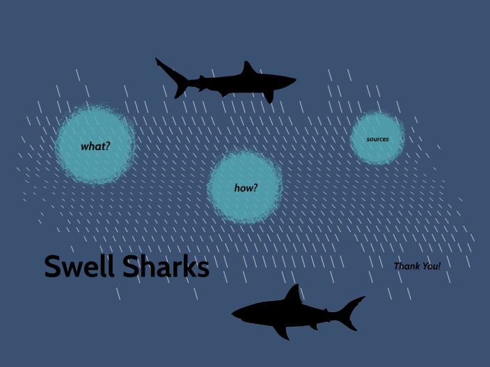 Swell Sharks by mackerel smith on Prezi