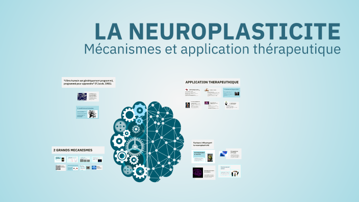 La neuroplasticité by Pauline Bourin on Prezi
