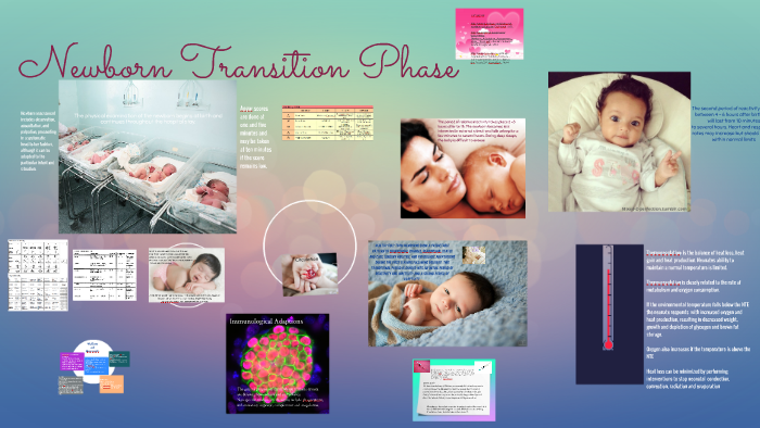 Newborn Transition Phase by autumn stuckey on Prezi