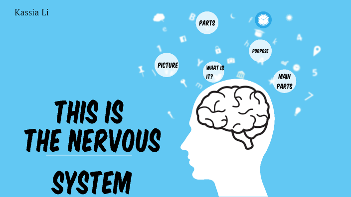 Nervous System Choice Board by Kassia Li on Prezi