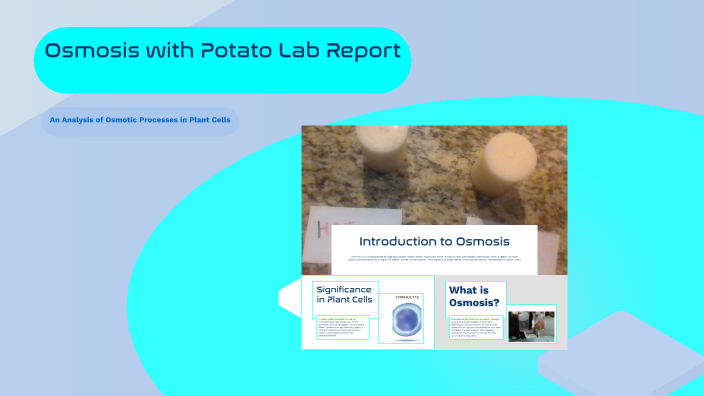 Osmosis with Potato Lab Report by Thomas Nishimoto on Prezi