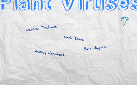 Plant Viruses by Bria Haynes on Prezi