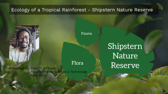 Diversity of life - Shipstern Nature Reserve by Clay chavez on Prezi