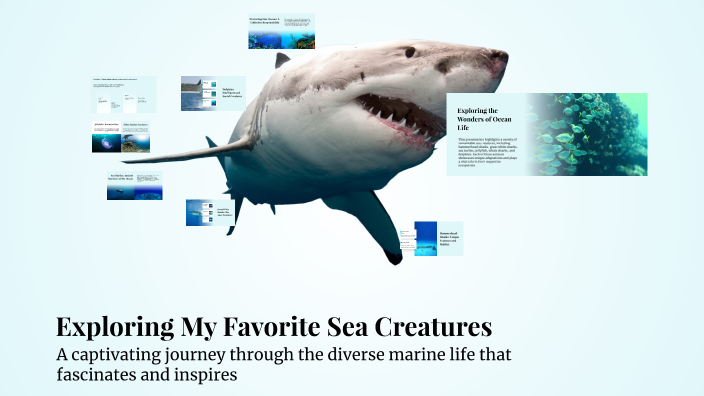 Exploring My Favorite Sea Creatures by Katie Petrie on Prezi
