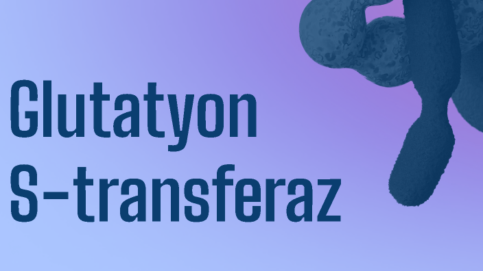 Glutatyon S transferaz by İla. Kkkkc. on Prezi