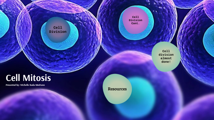 Cell Mitosis by Michelle Rada on Prezi