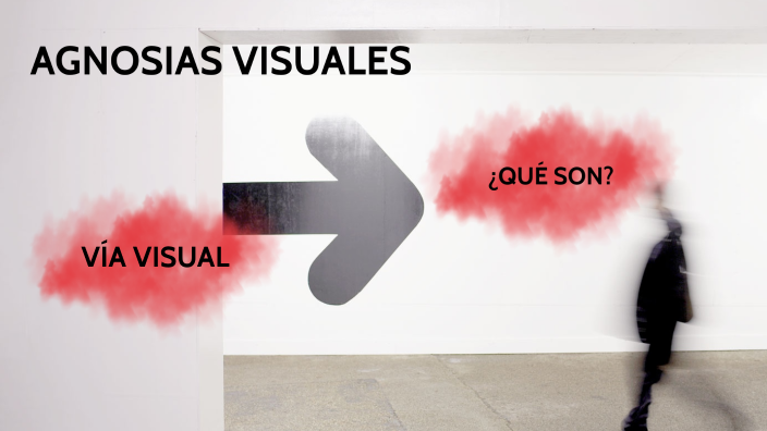 Agnosias visuales by Juliana Quinteros on Prezi