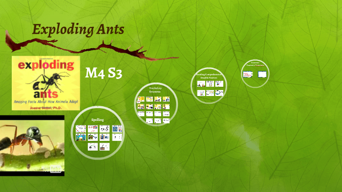 Exploding Ants by Sandra Henao on Prezi