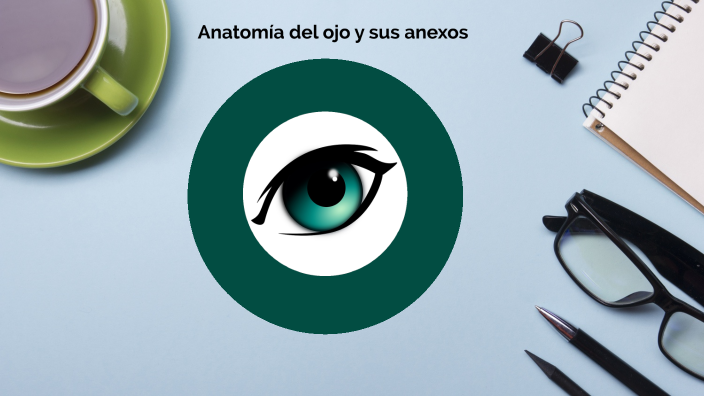 Anatomía del ojo y sus anexos by No Jorge No Hernández on Prezi