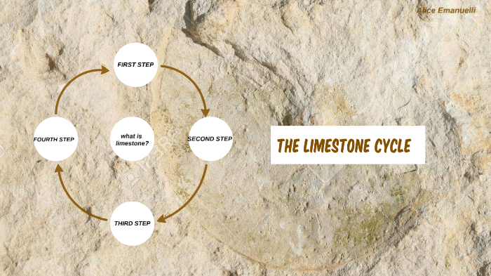 the Limestone cycle by Alice Emanuelli on Prezi
