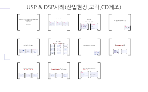USP & DSP사례(산업현장,보락,CD제조) by 지선 강 on Prezi