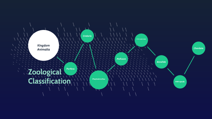 Zoological Classification by Jared Skanchy on Prezi