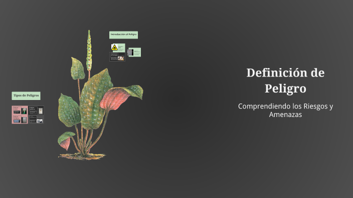 Definición de Peligro by juan Diéguez on Prezi