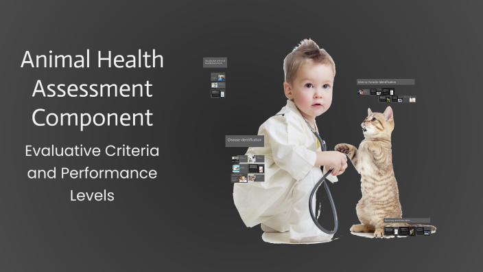 Animal Health Assessment Component by Colin Elkins on Prezi