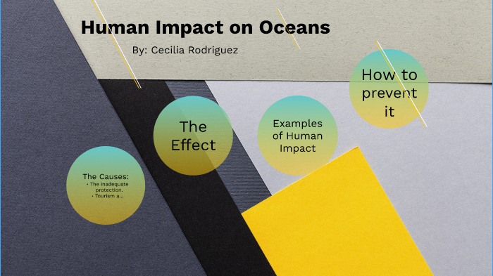 human impact on oceans by cecilia rodriguez on Prezi