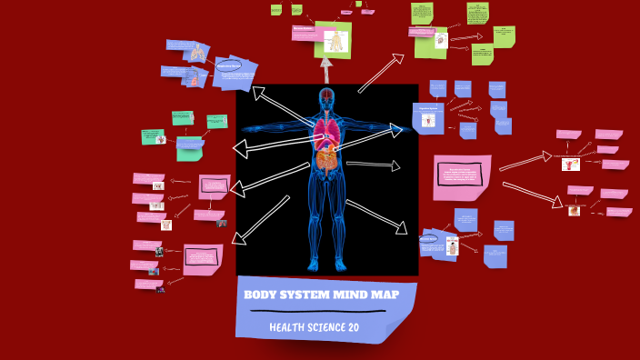 BODY SYSTEM MIND MAP by Pattie Laurene Cajes on Prezi