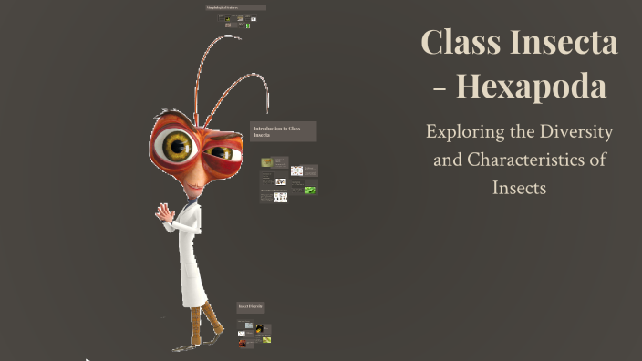 Class Insecta - Hexapoda by YLL AHMETI on Prezi