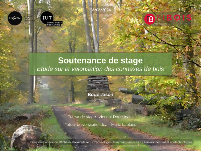 Soutenance Fibois by Jason Bodé on Prezi