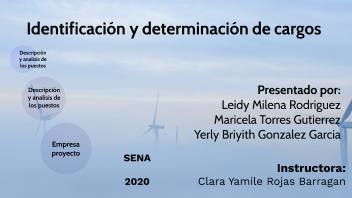 Identificación y determinación de cargos y roles by YERLY BRIYIT ...