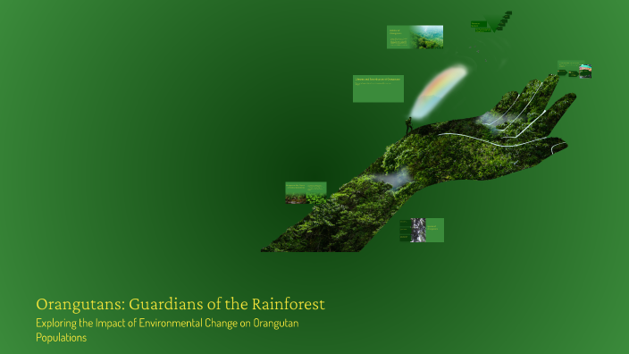 Orangutans: Guardians of the Rainforest by rafael on Prezi
