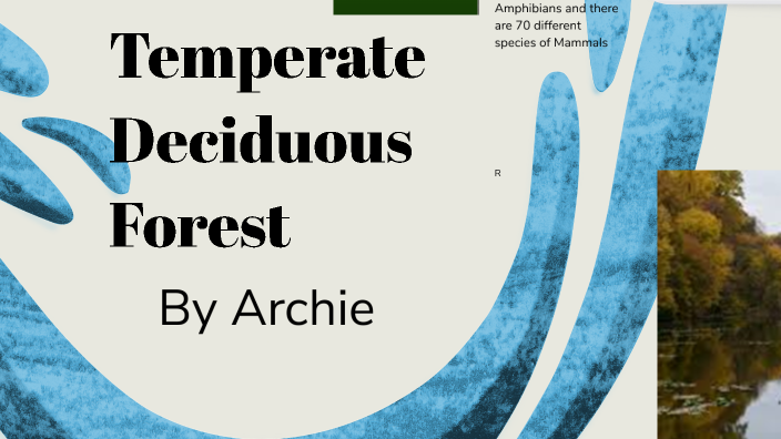 HASS Year 9 by Archie Murphy on Prezi