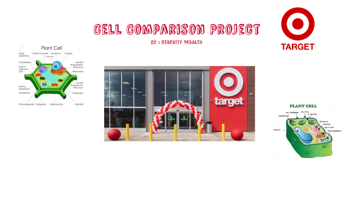 Cell Comparison Project (Target) by serenity peralta on Prezi