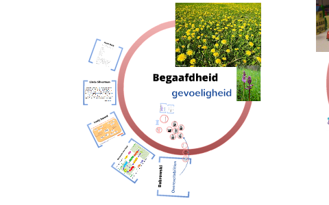Begaafd gevoelig creatief visueel ruimtelijk by Marita van den hout on ...