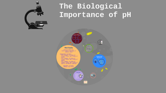 The Biological Importance of pH by Anthon Rios on Prezi