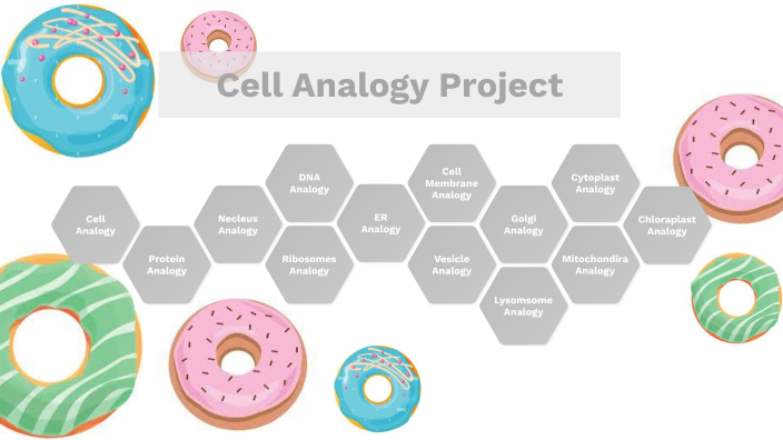 Cell Analogy Project by Gracie Smith on Prezi