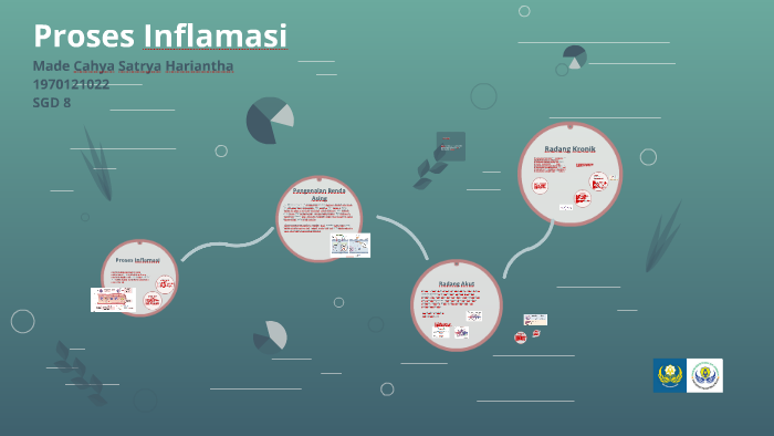 Proses Inflamasi by Cahya Satrya on Prezi