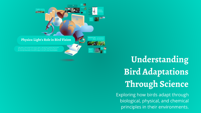 Understanding Bird Adaptations Through Science by anitej singh on Prezi