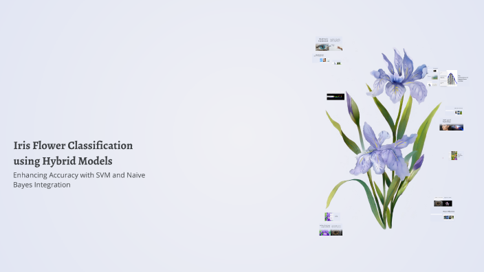 Iris Flower Classification using Hybrid Models by usman ameer on Prezi