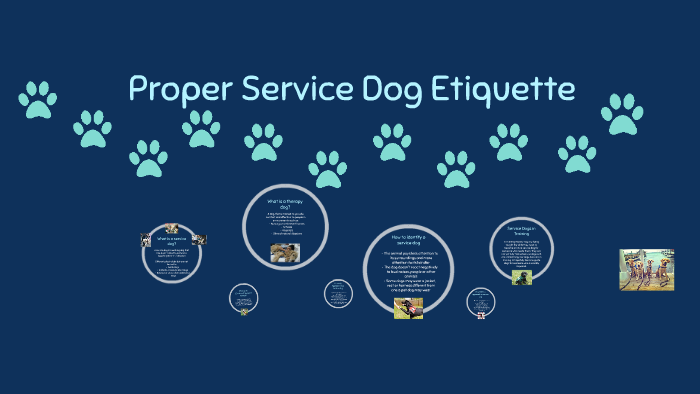 Proper Service Dog Etiquette by Caitlyn Landry on Prezi