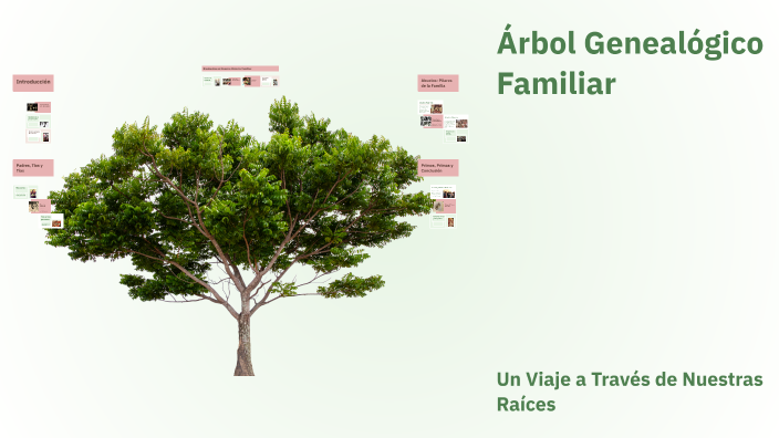 Árbol Genealógico Familiar by Haydee Leyva on Prezi