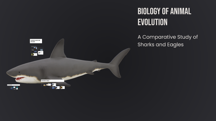 Biology of Animal Evolution by Jonathan Banuelos on Prezi