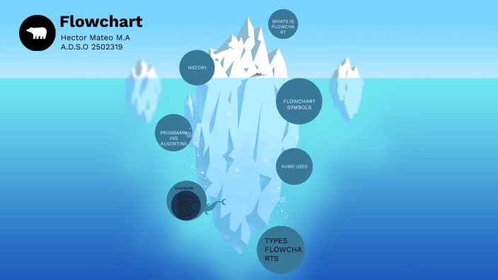 FLOWCHARTS by Matteo A on Prezi