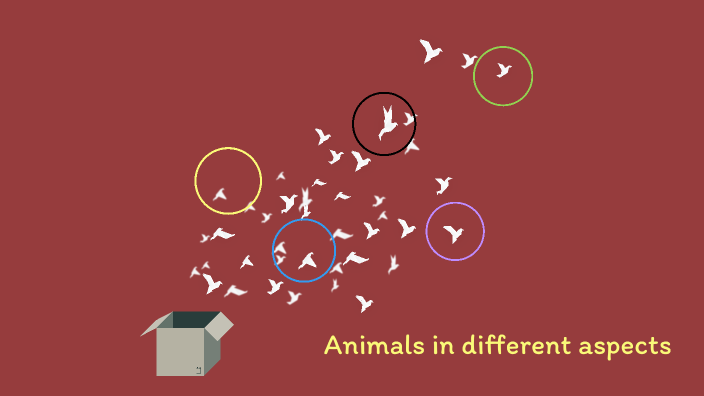 Animals in different aspects by Yoshi Yang on Prezi