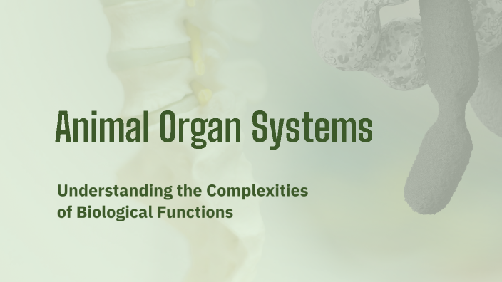 Animal Organ Systems by Getulio NHS (Region VI - Guimaras) on Prezi