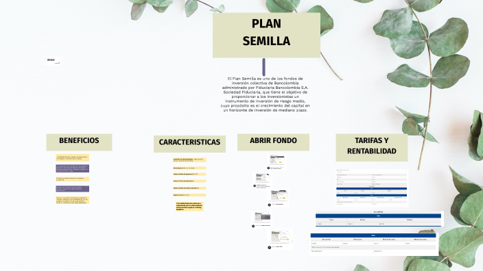 plan semilla Bancolombia by sebastian maidiedo ardila on Prezi