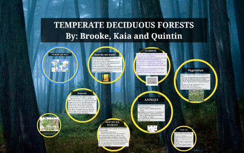 TEMPERATE DECIDUOUS FORESTS by Brooke Rogers on Prezi